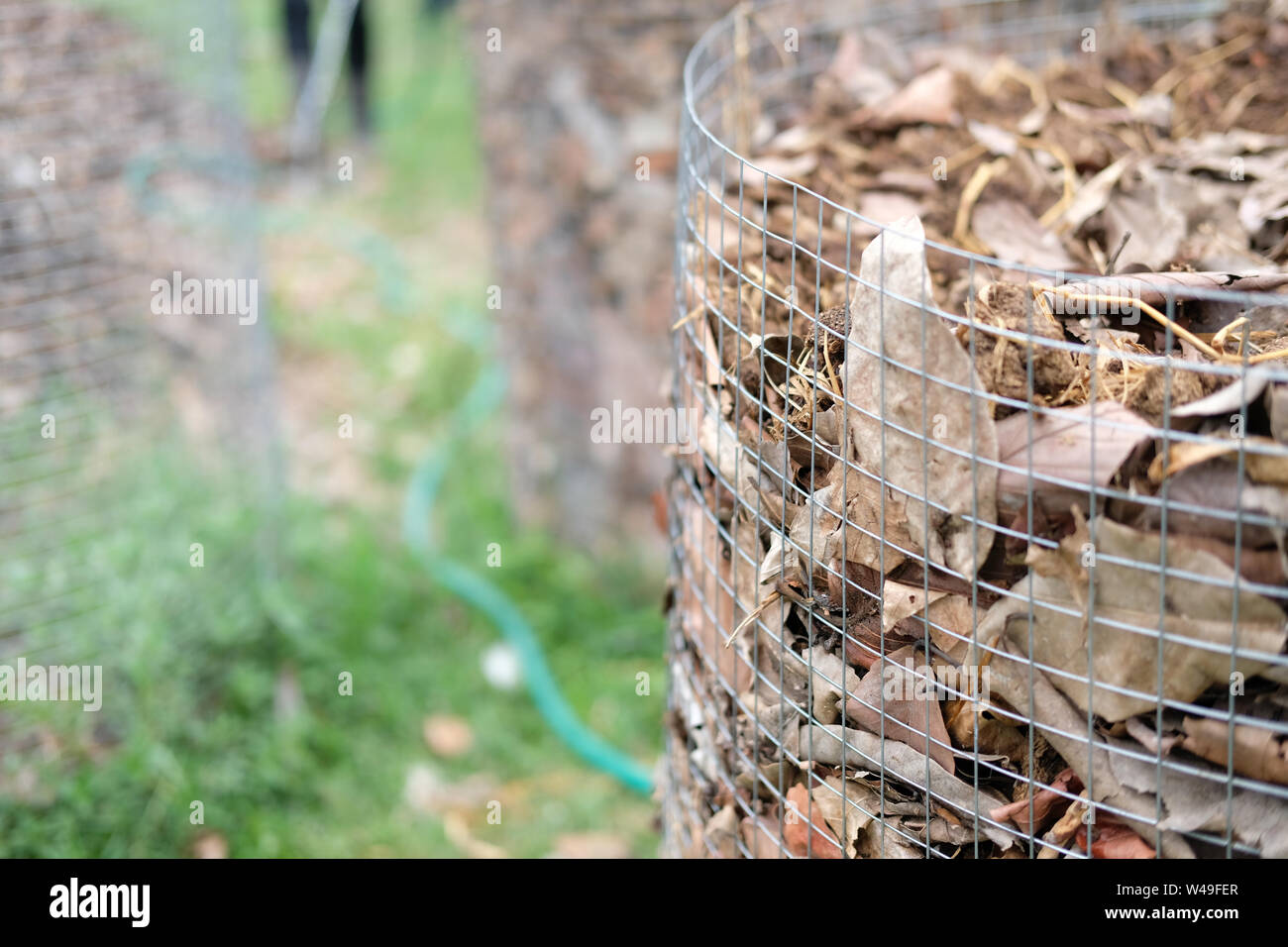 organic compost heap. fertilizer production for soil cultivation in ...