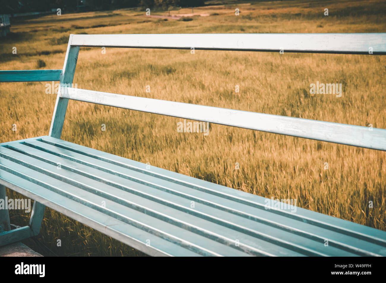 chair bench with rice paddy field view Stock Photo - Alamy