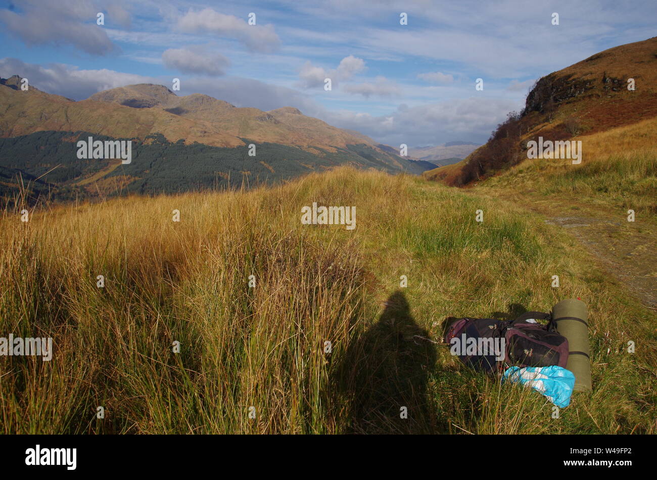 The Loch Lomond and Cowal Way. Cowal peninsula. Highlands. Scotland. UK ...