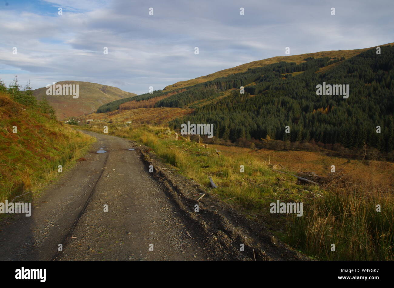 The Loch Lomond and Cowal Way. Cowal peninsula. Highlands. Scotland. UK ...