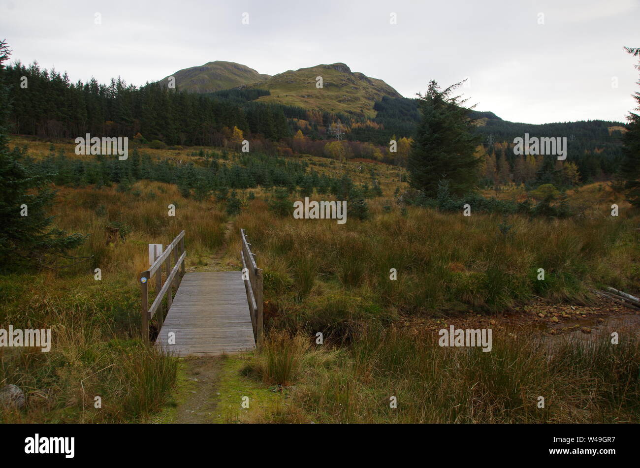 The Loch Lomond and Cowal Way. Cowal peninsula. Highlands. Scotland. UK ...