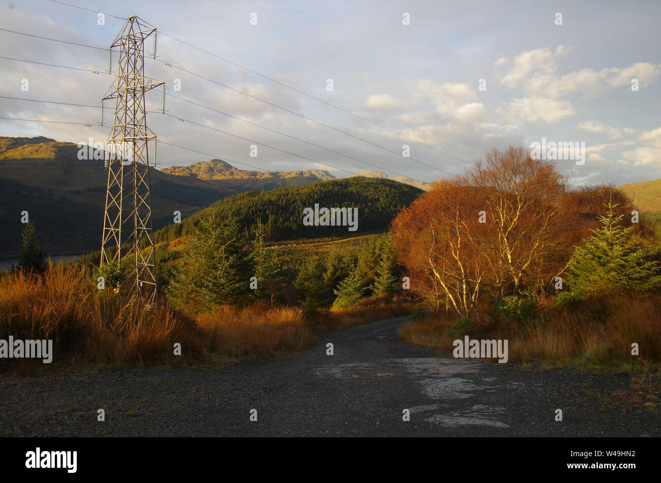 The Loch Lomond and Cowal Way. Cowal peninsula. Highlands. Scotland. UK ...