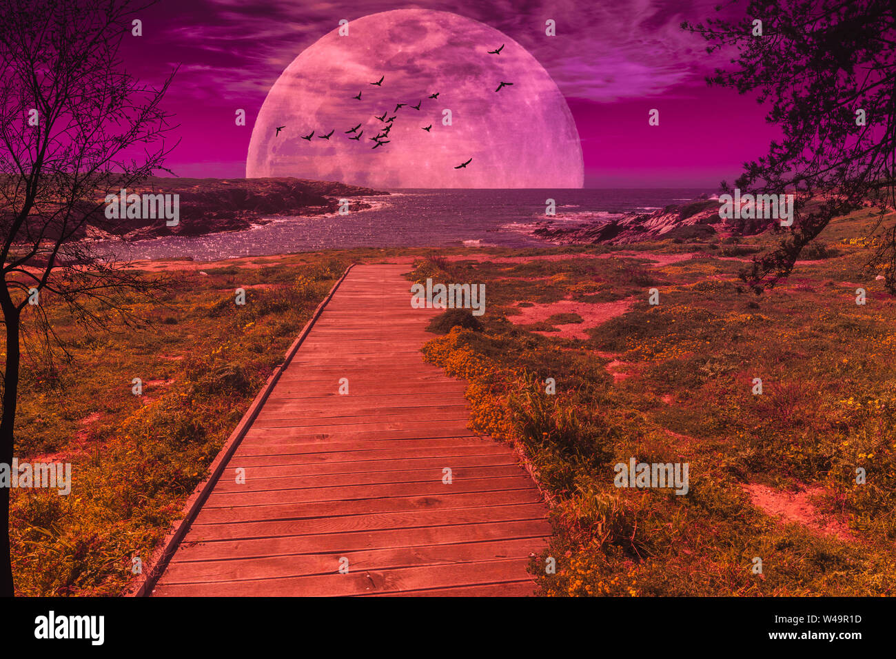 Fantasy landscape at sunset with super moon Stock Photo - Alamy