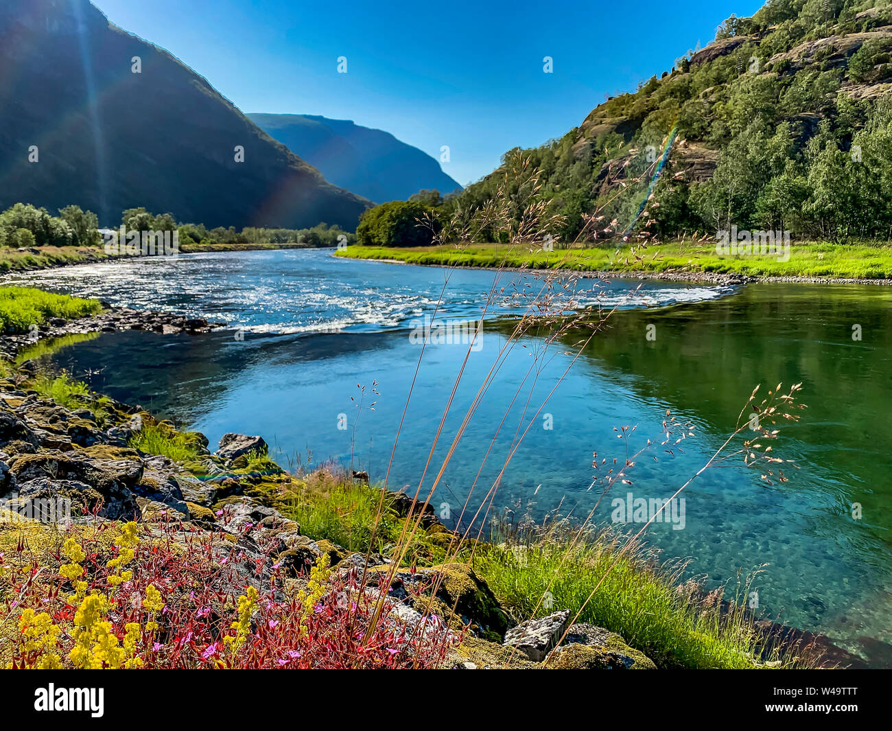 Summer fjords hi-res stock photography and images - Alamy