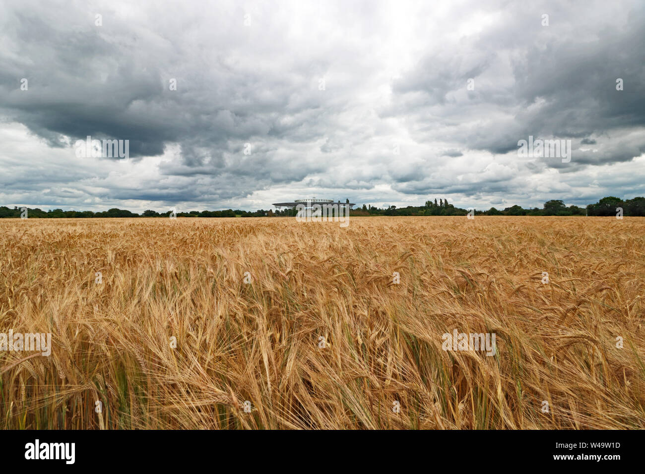 Wisley airfield surrey hi-res stock photography and images - Alamy