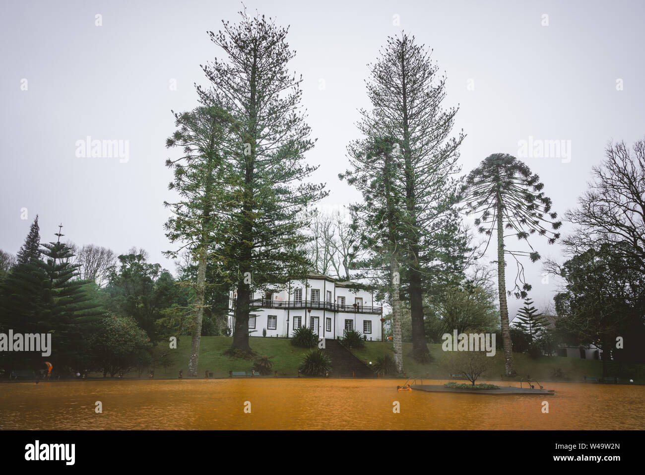 The famous yellow thermal pool in the Terra Nostra botanical garden at ...