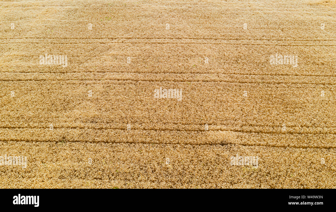 Birds eye view healthy crop hi-res stock photography and images - Alamy