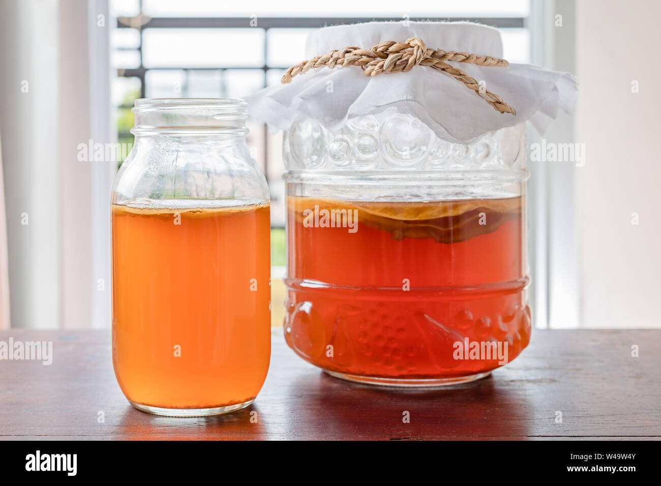 Kombucha tea popular fermented healthy drink natural high probiotics ...