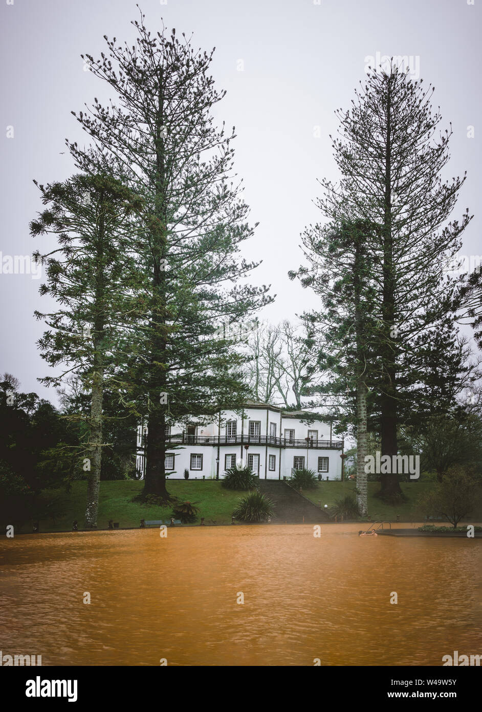 The famous yellow thermal pool in the Terra Nostra botanical garden at ...