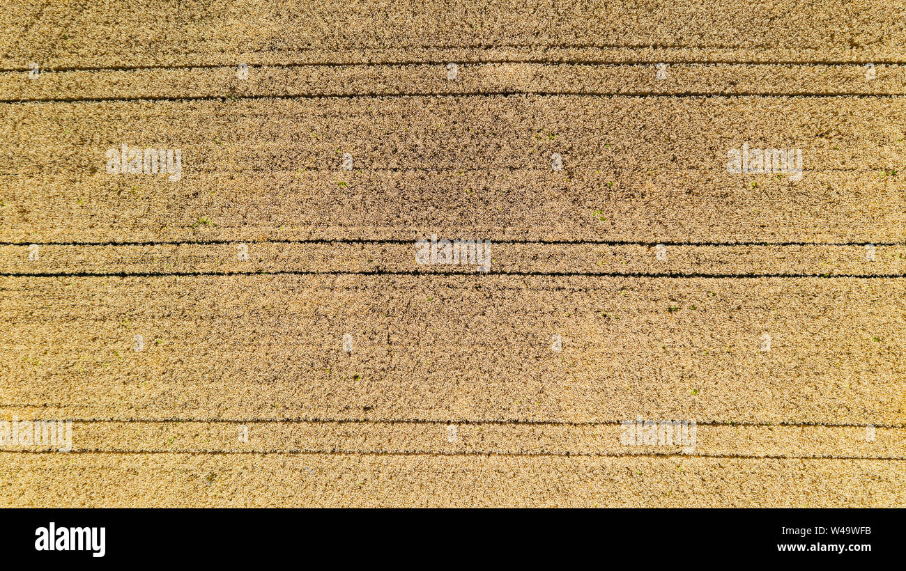 Wheat field birds eye view hi-res stock photography and images - Alamy