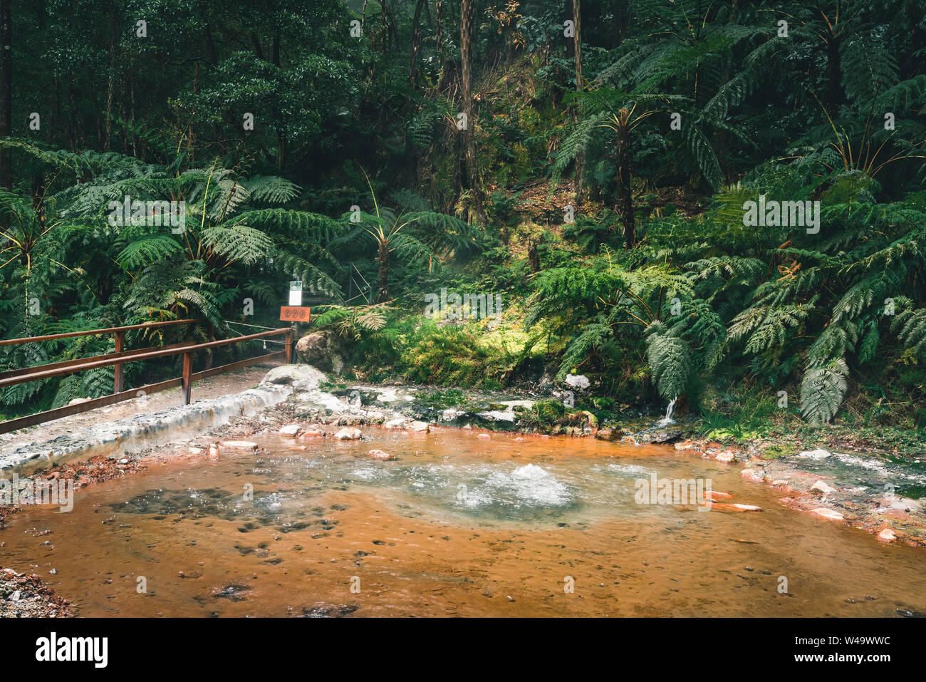 Caldeira Velha Pool with boiling water from geo thermal hot springs ...