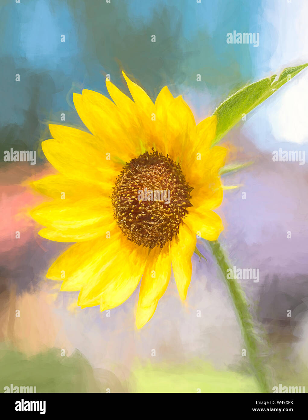 A beautiful sunflower done in the abstract Stock Photo - Alamy