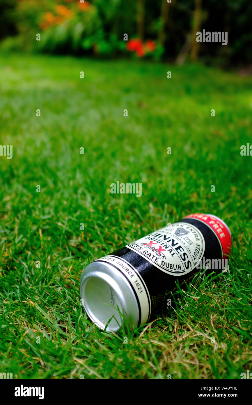 Beer can discarded in a suburban garden UK Stock Photo - Alamy
