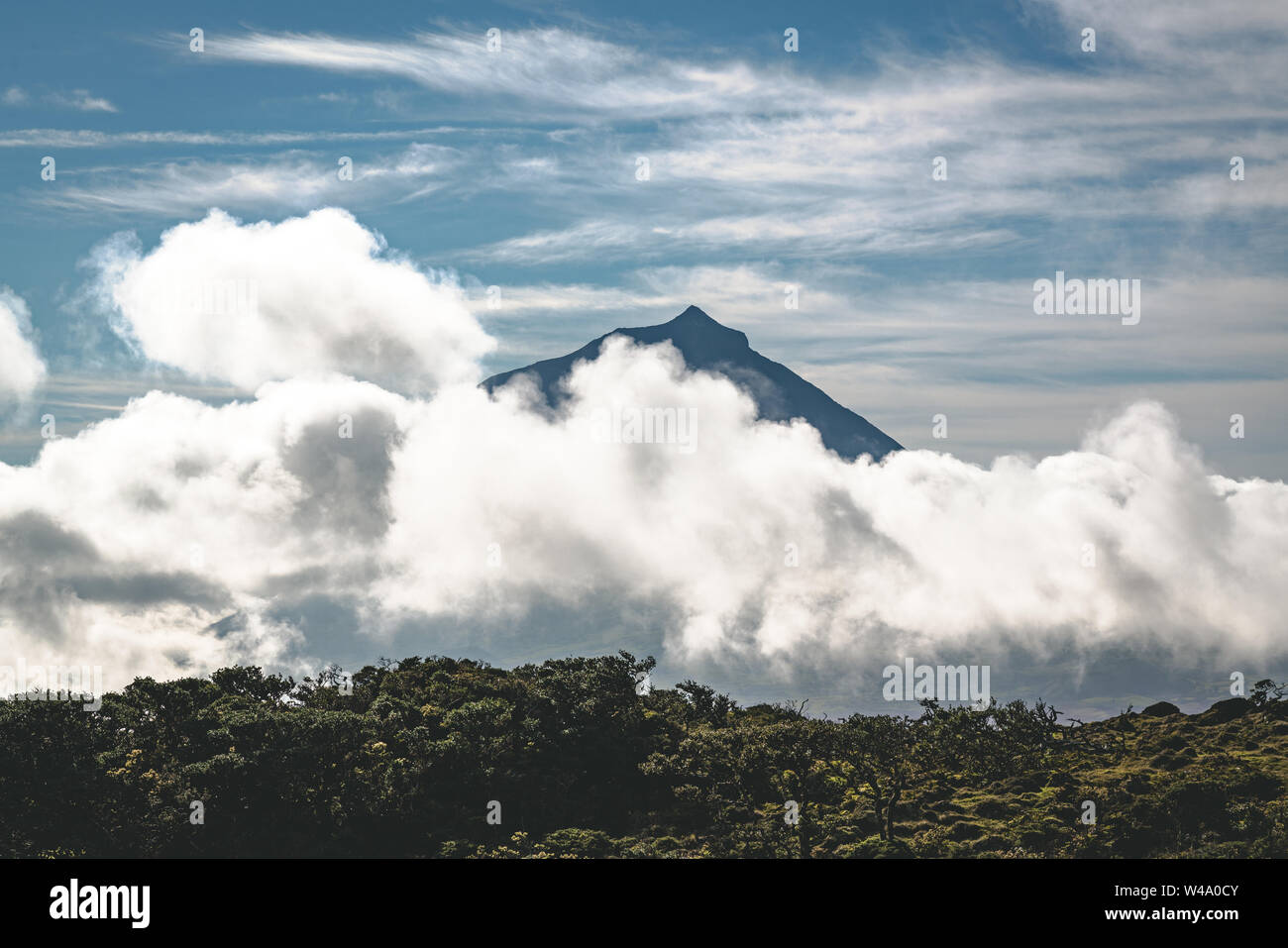 Lanscape near EN3 longitudinal road northeast of Mount Pico and the ...