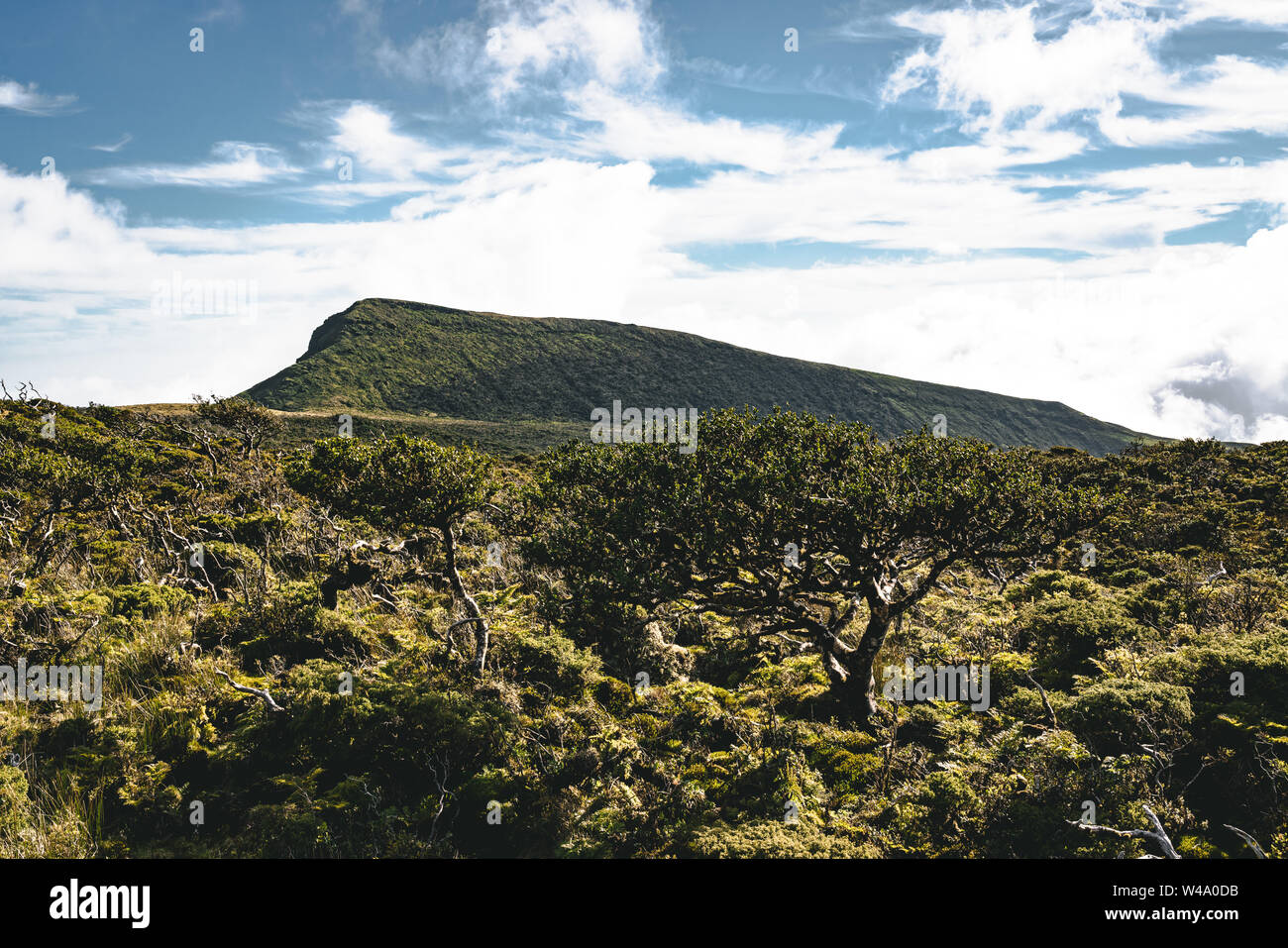 Straight EN3 longitudinal road northeast of Mount Pico and the ...