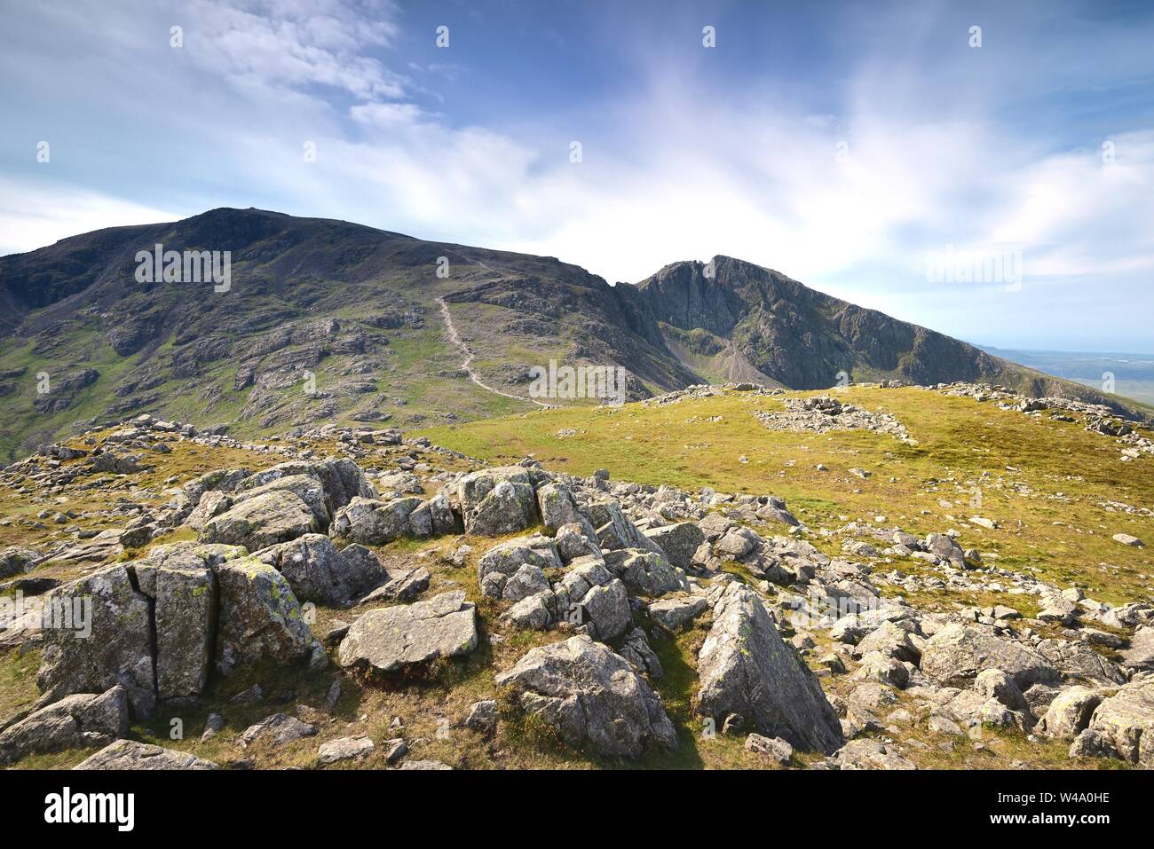 Lords animals hi-res stock photography and images - Alamy