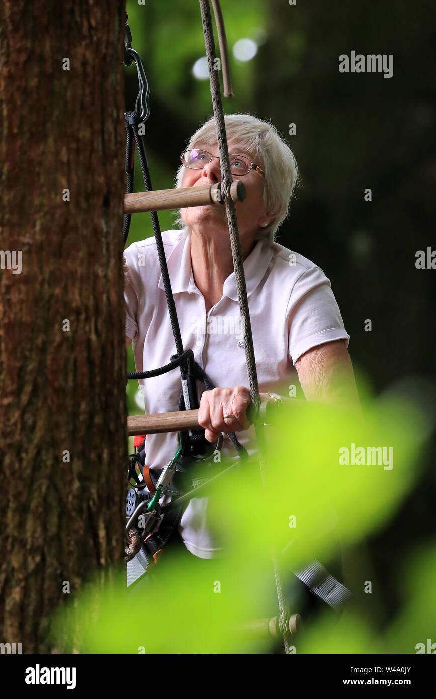 Complete go ape treetop challenge leeds castle hi-res stock photography ...