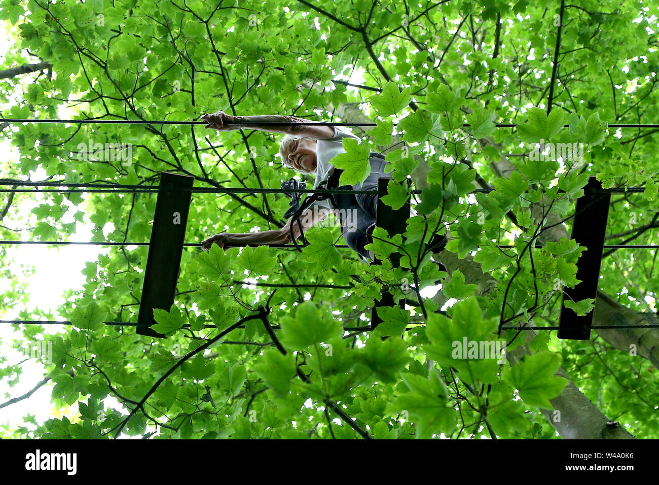 Complete go ape treetop challenge leeds castle hi-res stock photography ...