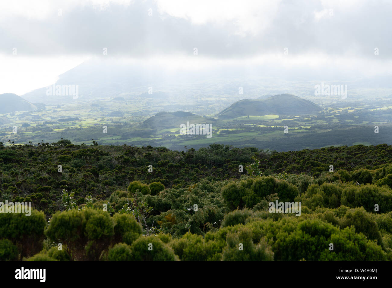 Lanscape near EN3 longitudinal road northeast of Mount Pico and the ...