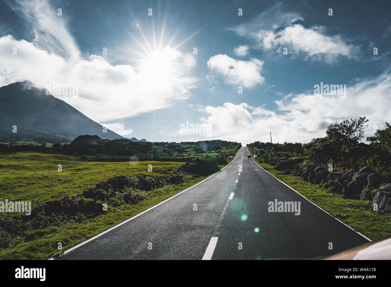 Straight EN3 longitudinal road northeast of Mount Pico and the ...