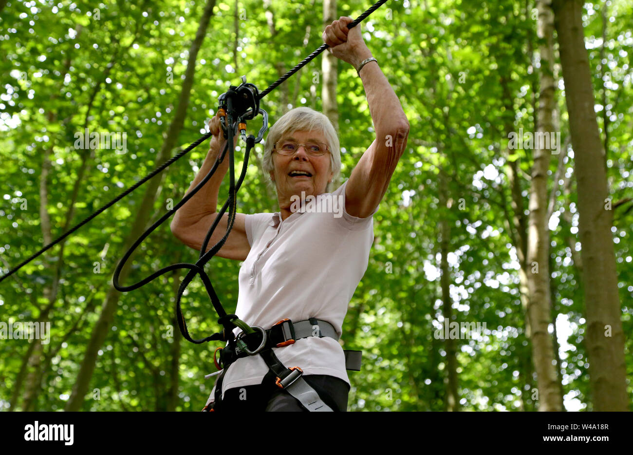 Complete Go Ape Treetop Challenge Leeds Castle High Resolution Stock ...