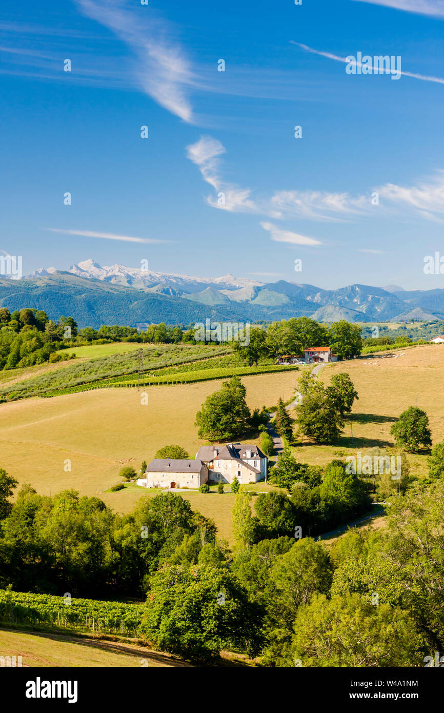 Jurancon vineyards hi-res stock photography and images - Alamy