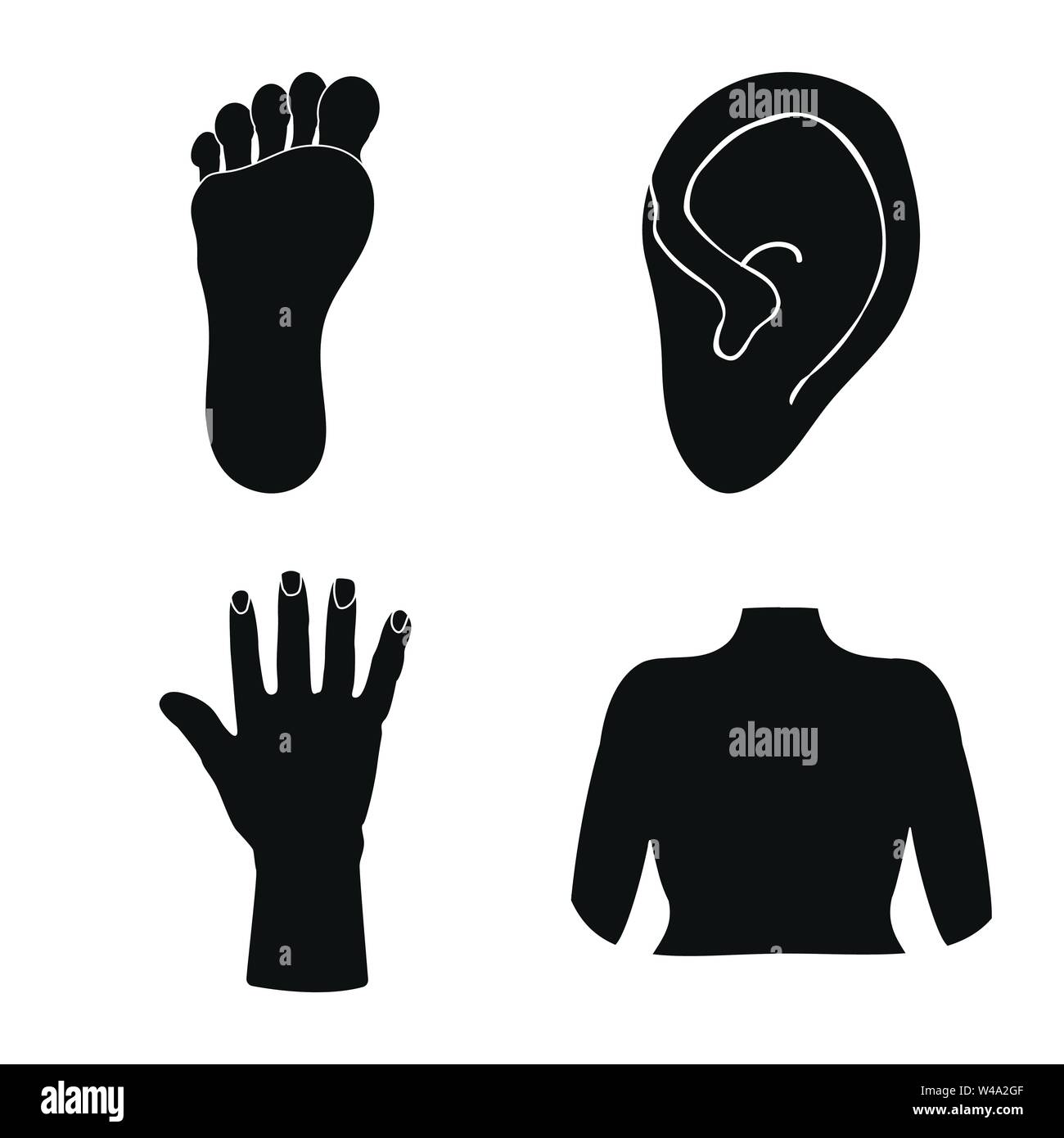 Isolated object of body and part icon. Collection of body and anatomy ...