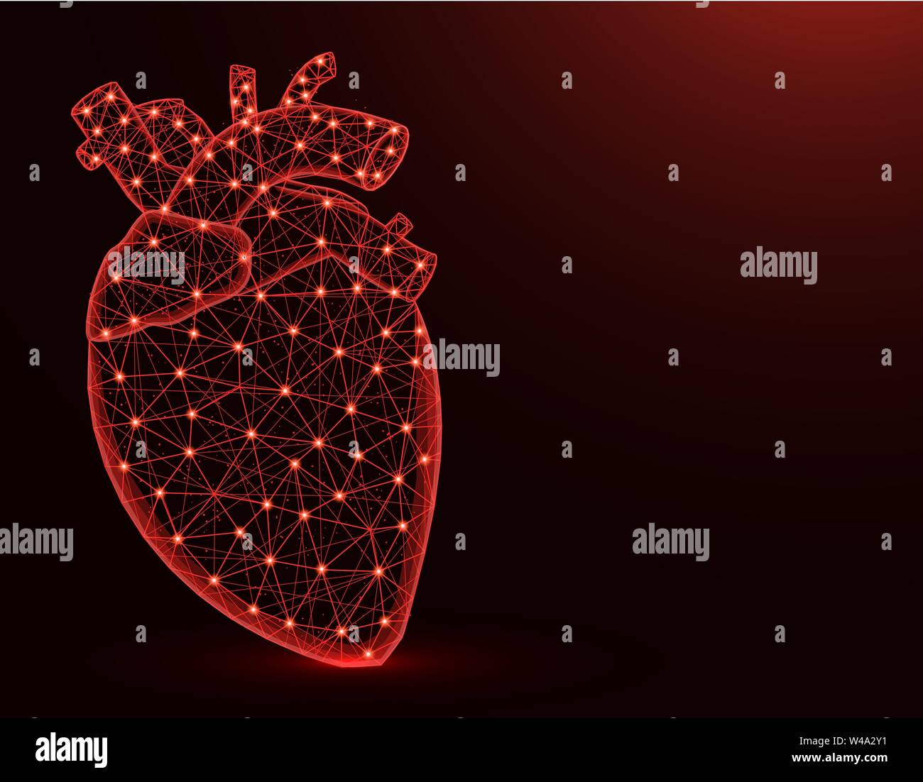 Heart with aorta and veins low poly model, human organs abstract ...