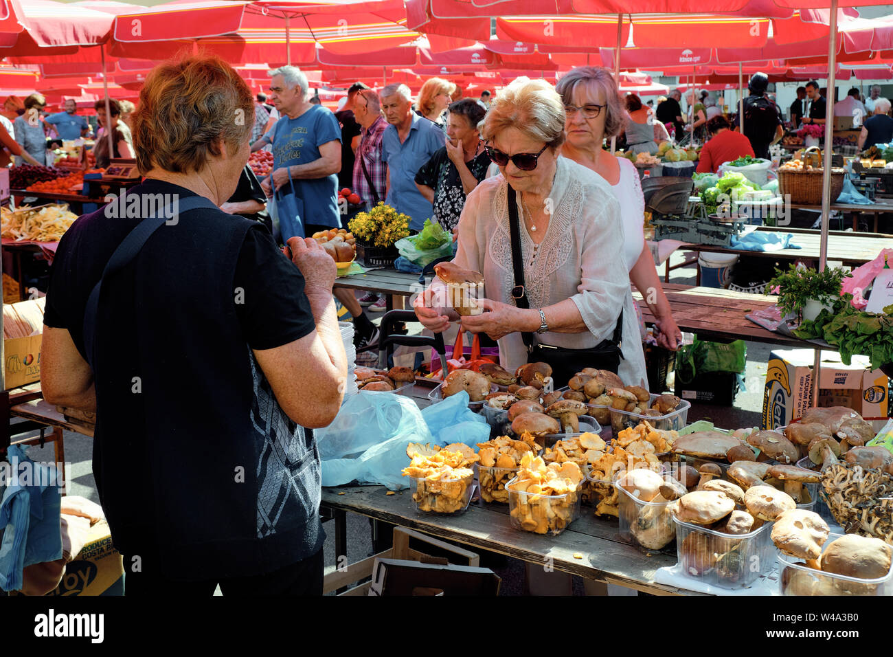 Female vendor and customer farmers market hi-res stock photography and ...