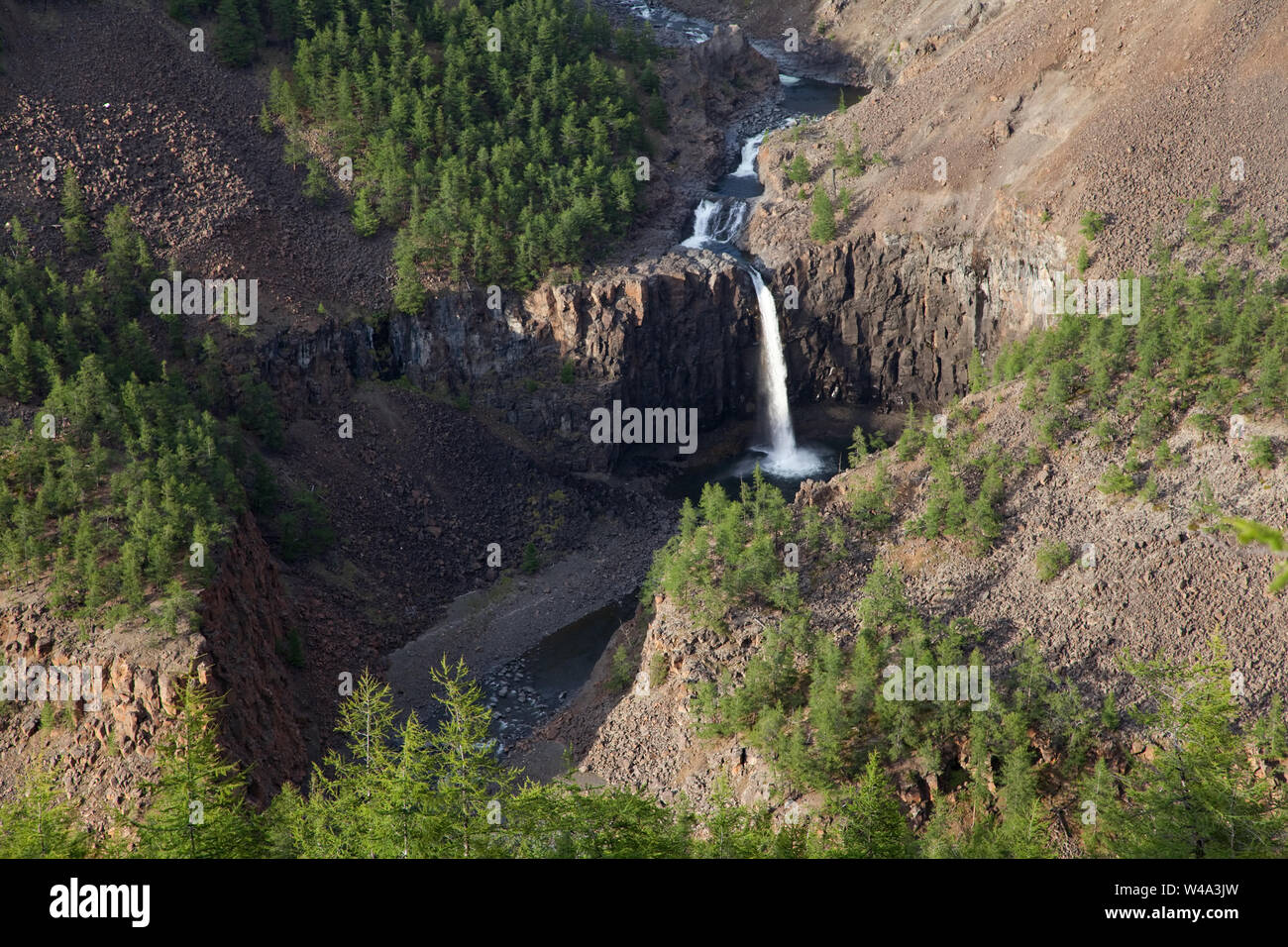Pine trees and waterfalls in canyon of Kanda river, Putorana plateau ...