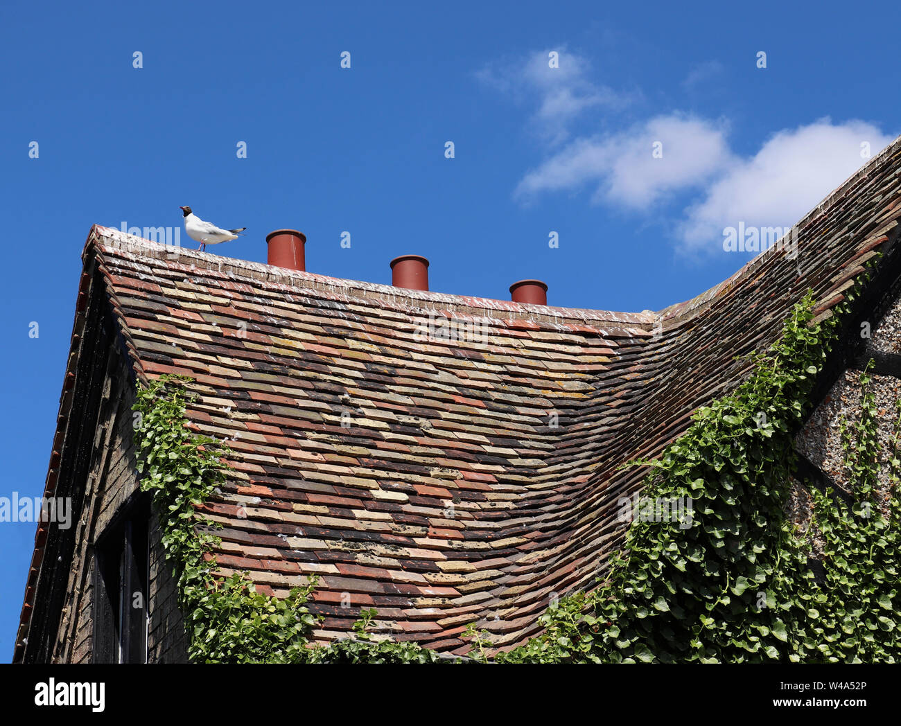 Weathered old terracotta tiled roof hi-res stock photography and images ...