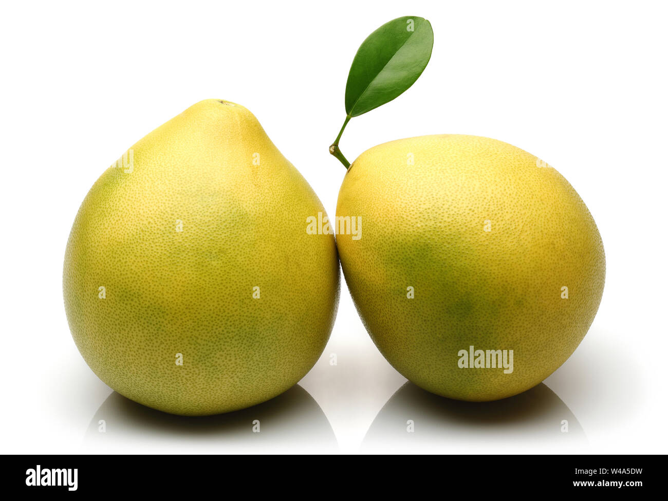 Fresh pomelo fruits isolated on white background Stock Photo - Alamy