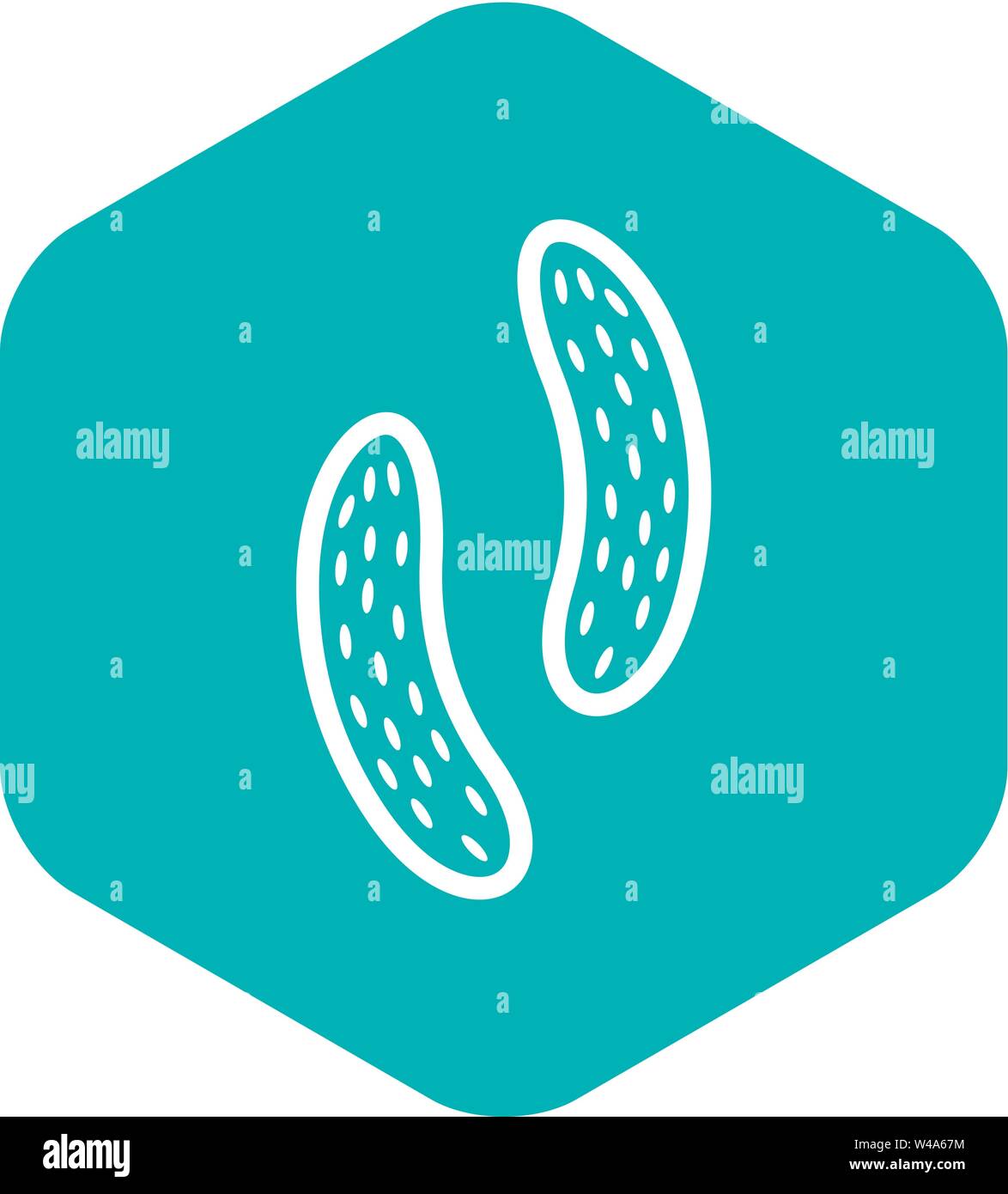 Epithelial cell icon, simple style Stock Vector Image & Art - Alamy