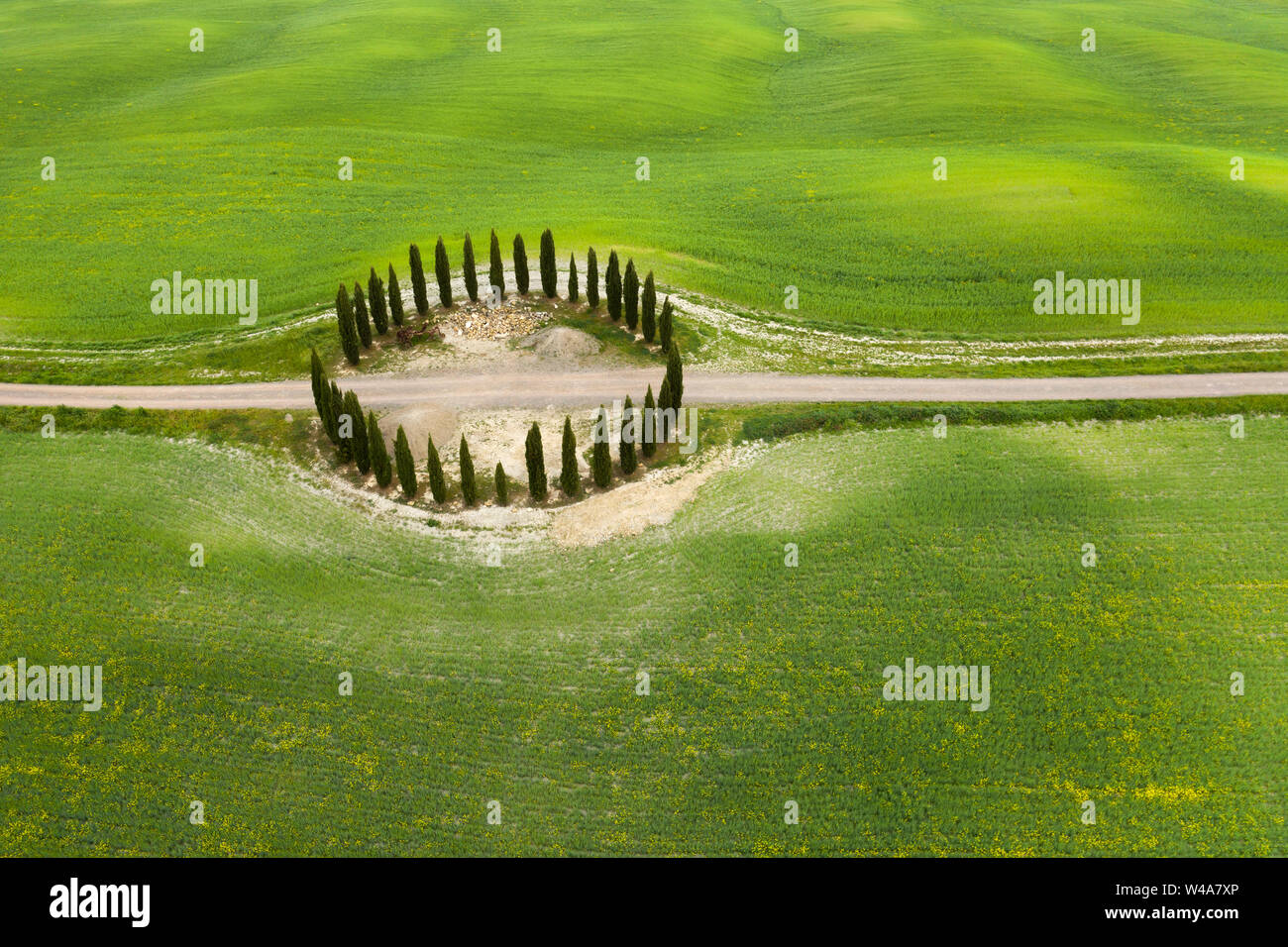 Aerial view stunning cypress tree hi-res stock photography and images ...