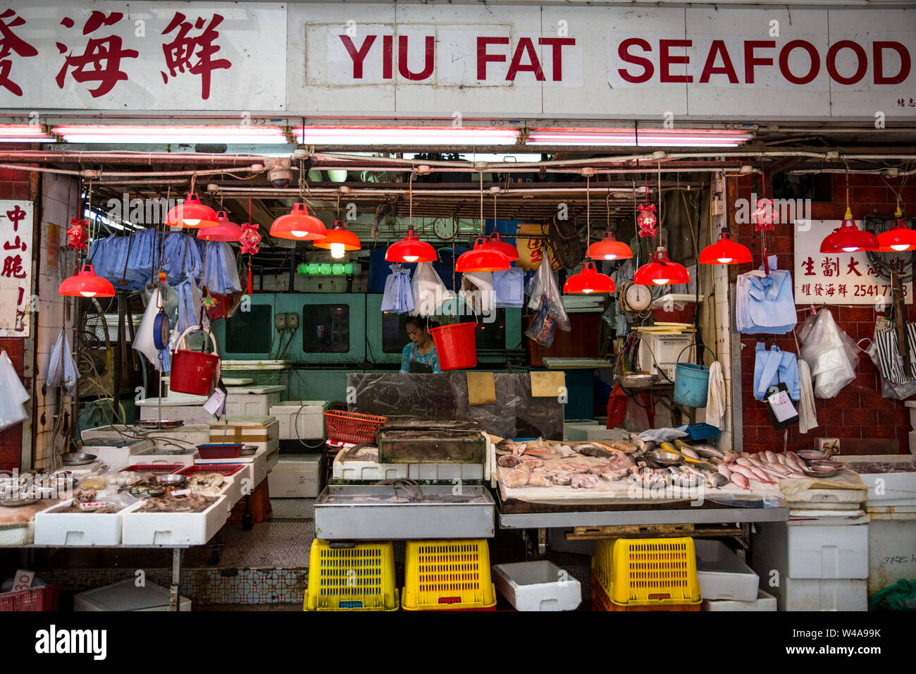 Hong Kong Fish Market