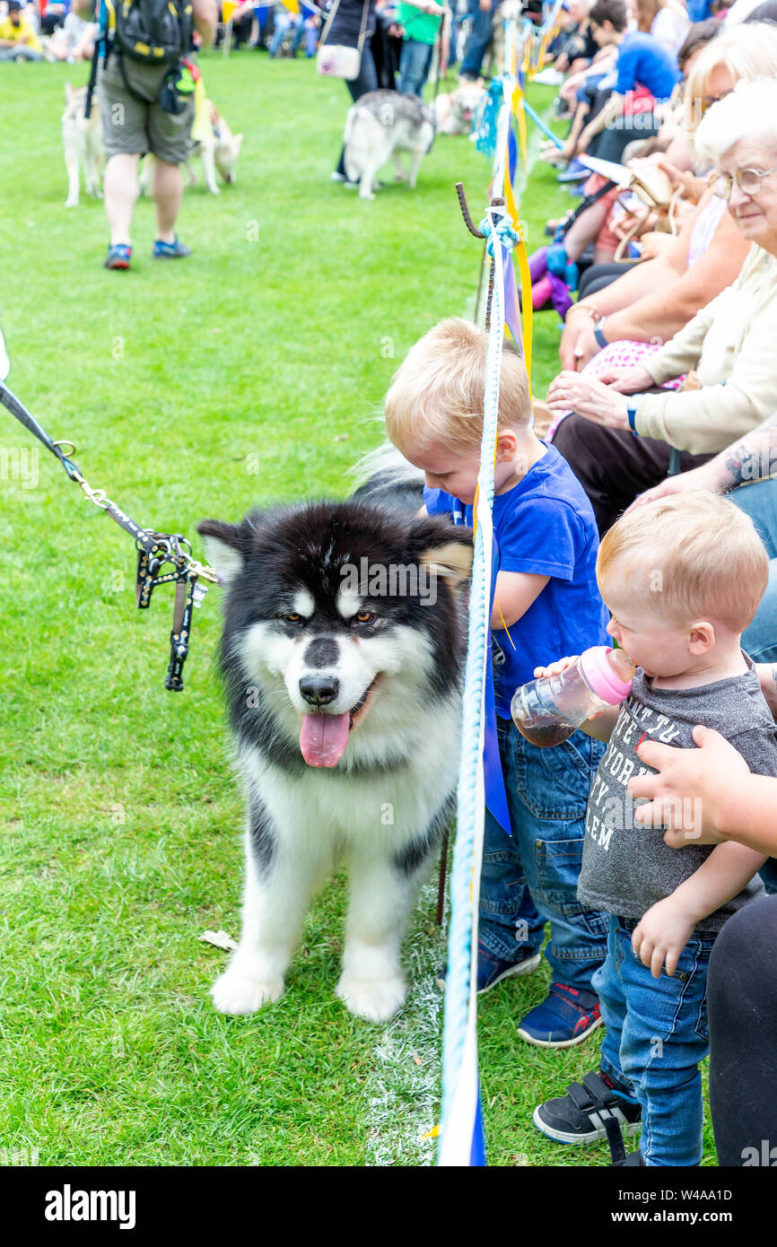 Dad kids dog hi-res stock photography and images - Alamy
