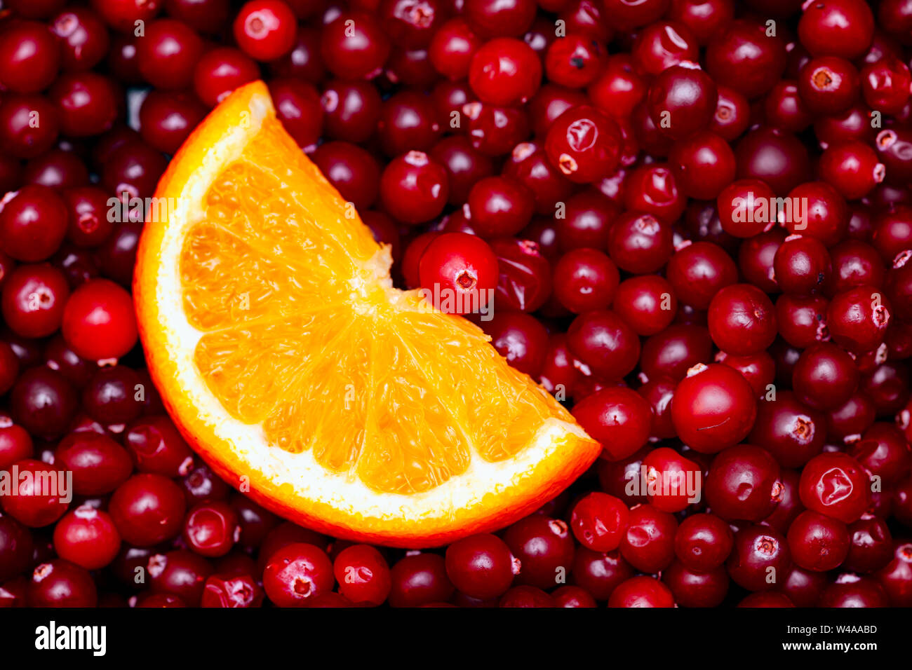 Orange slice on fresh cranberries backgrounds. Close-up Stock Photo - Alamy