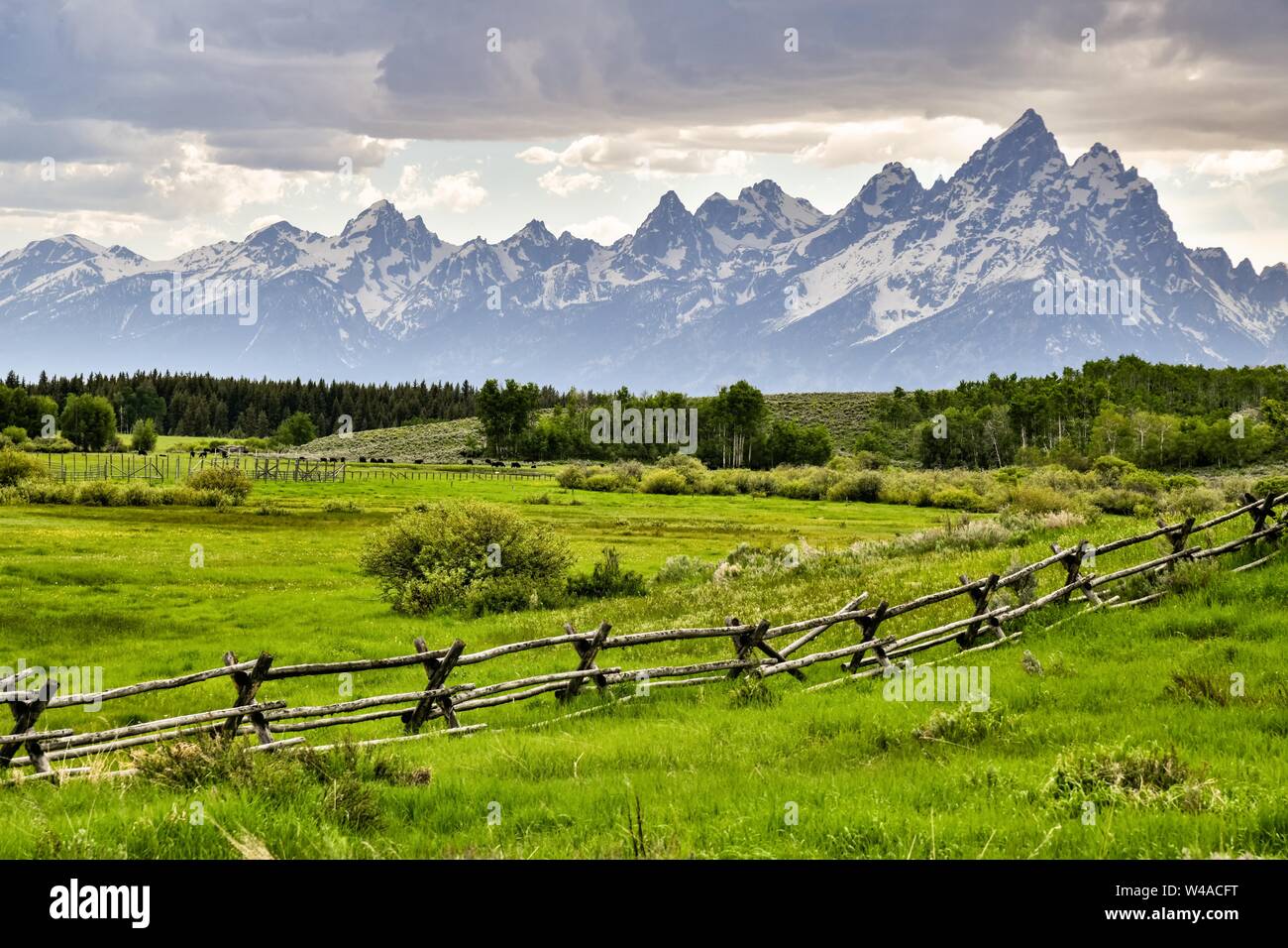 Mount Moran and the Grand Teton mountains at dusk seen across the Moose Head Ranch at the Grand ...