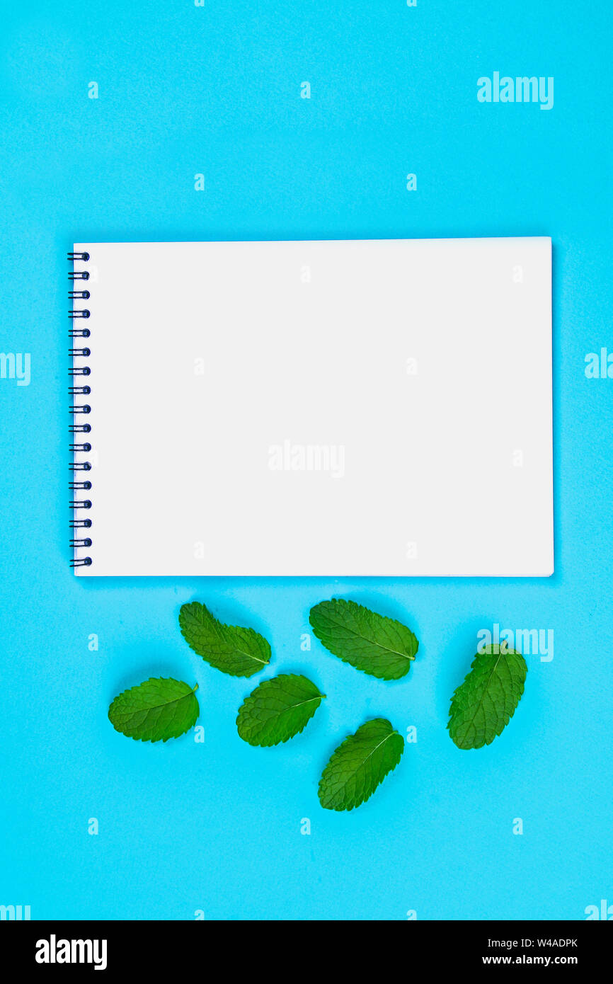 An empty notebook with a blue handle and mint leaves on a blue pastel ...