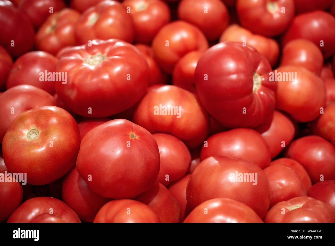 Fresh tomatoes texture on a shop window Stock Photo - Alamy