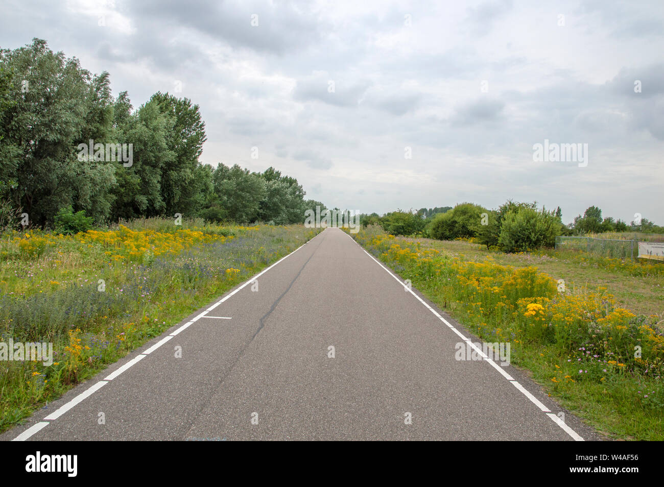 Emtpy road hi-res stock photography and images - Alamy
