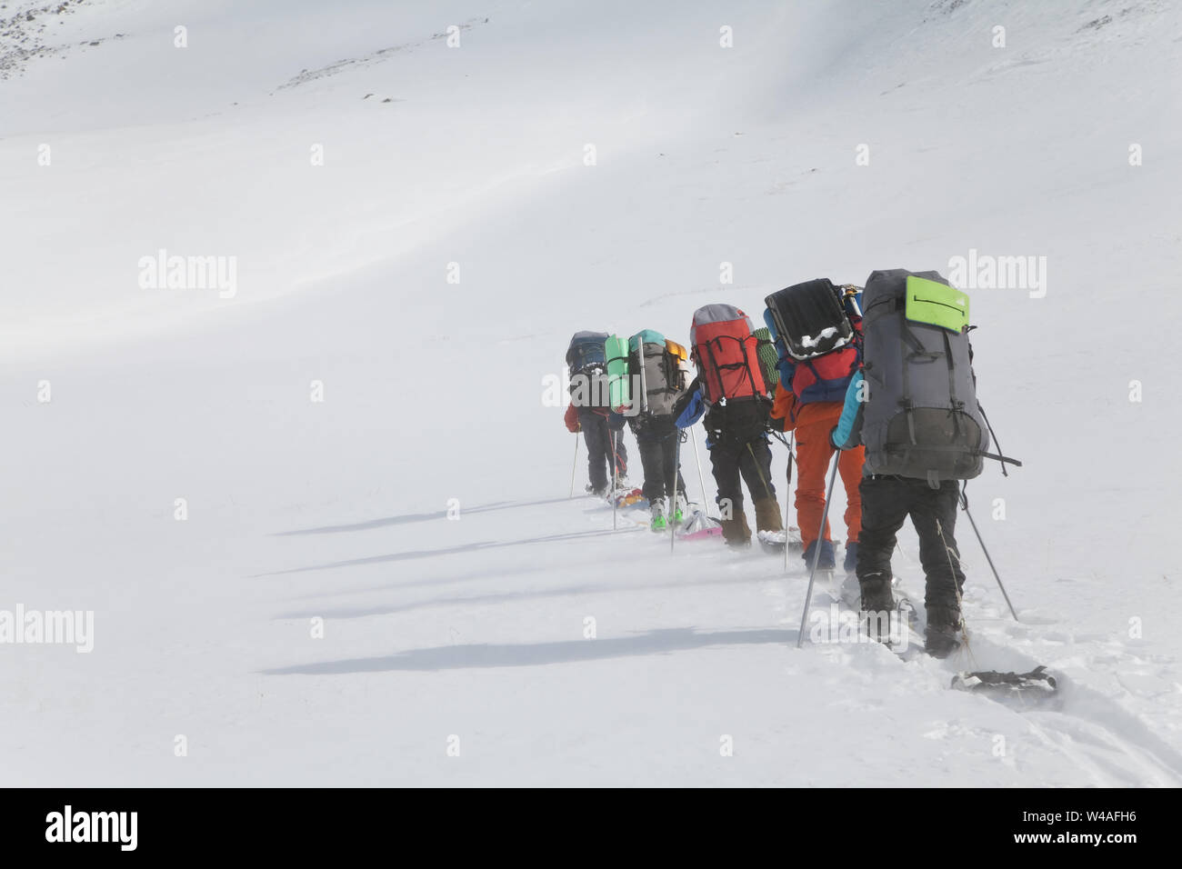Backpacking ski tour climbers in Altay high mountains. Siberia. Russia ...