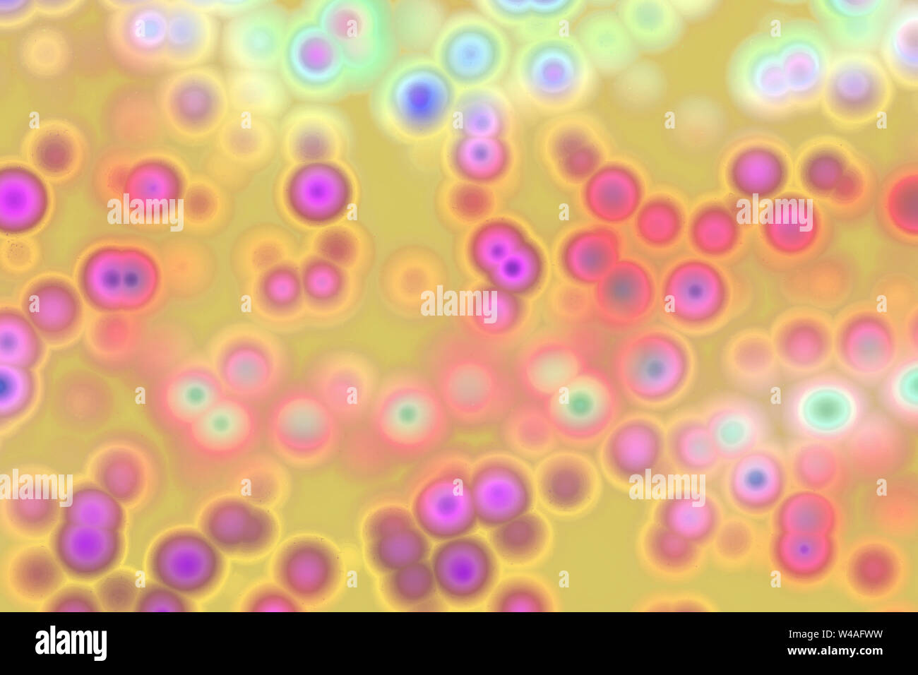 Microbes and human cells hi-res stock photography and images - Alamy