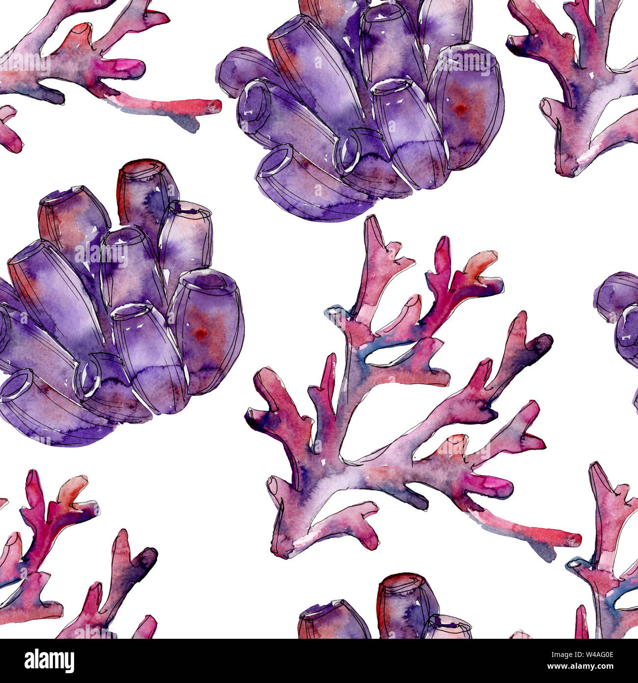 Colorful aquatic underwater nature coral reef. Watercolor background ...