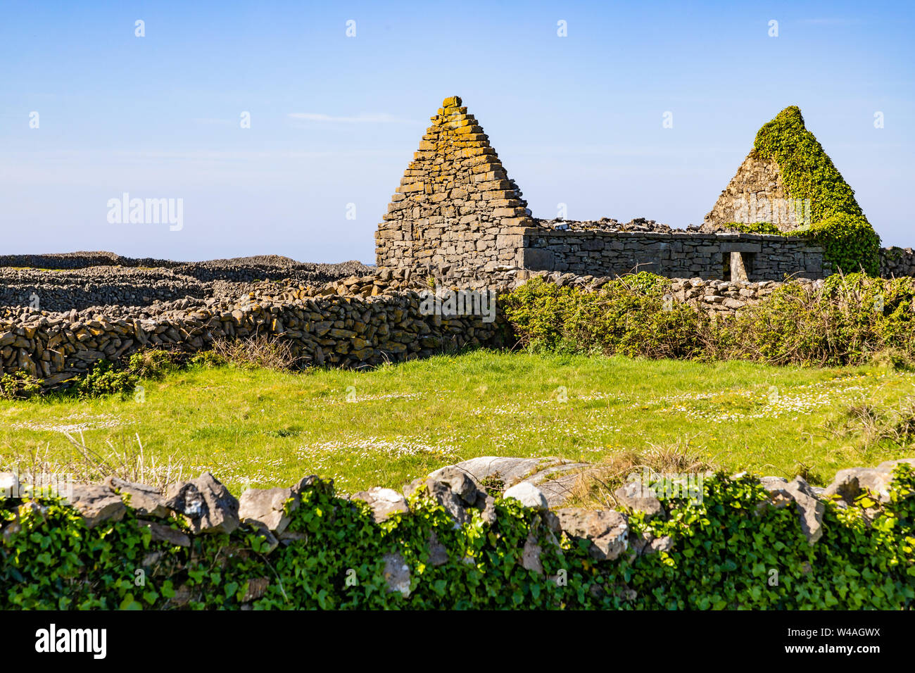 House ruins with stone wall in Inishmore, Aran Islands, Ireland Stock ...