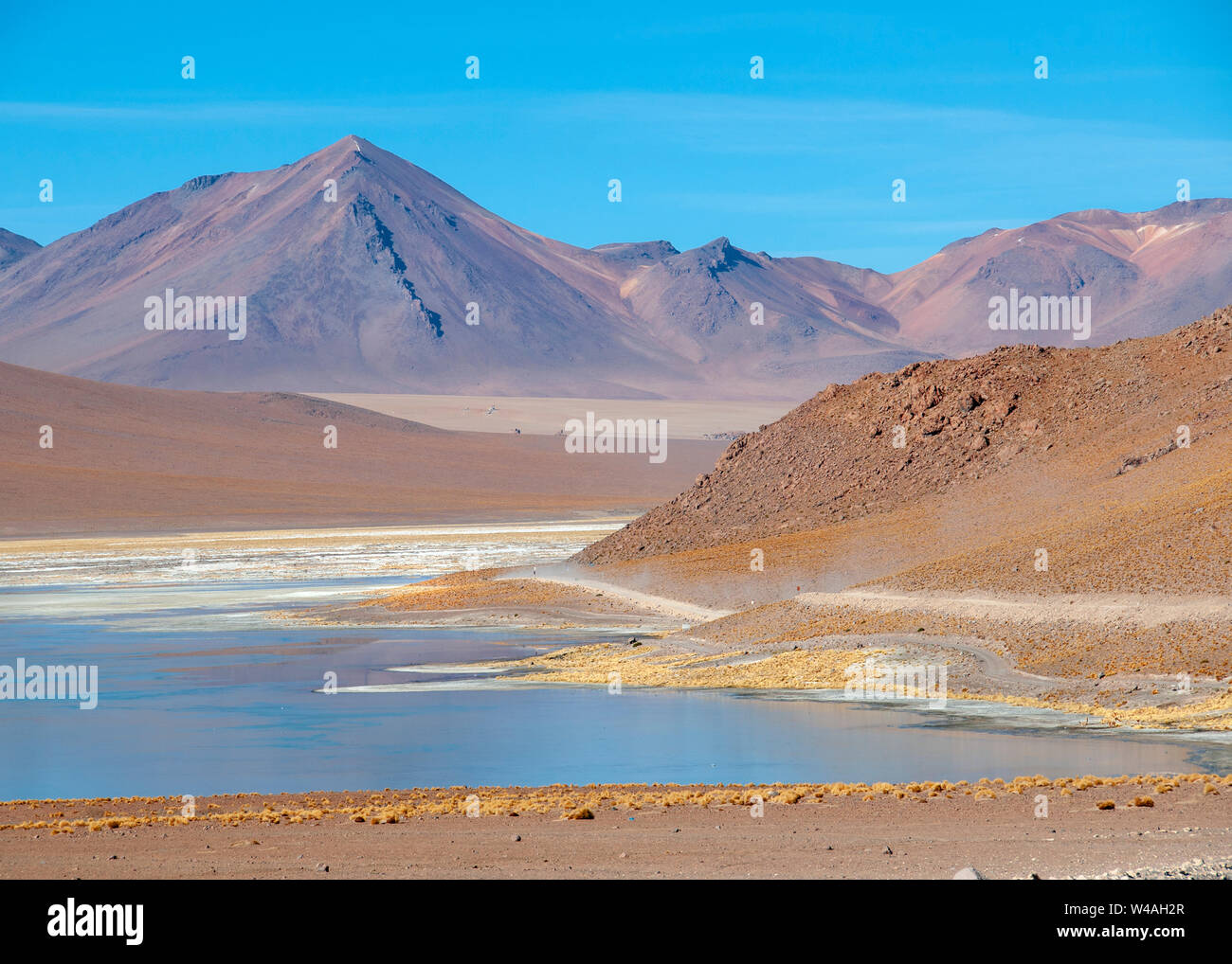bolivian lagunas in the andes mountains region over 4000 meters above ...