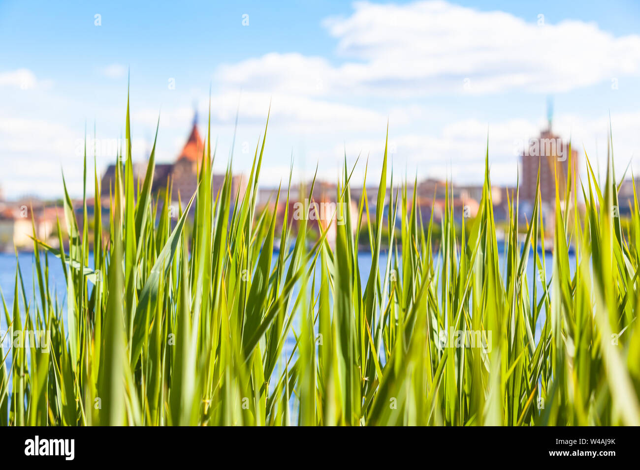 Riverside Grass High Resolution Stock Photography and Images - Alamy