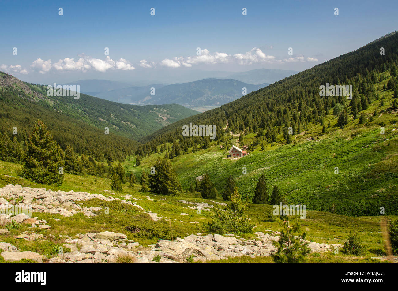 Pelister National Park - Macedonia, Bitola Stock Photo - Alamy