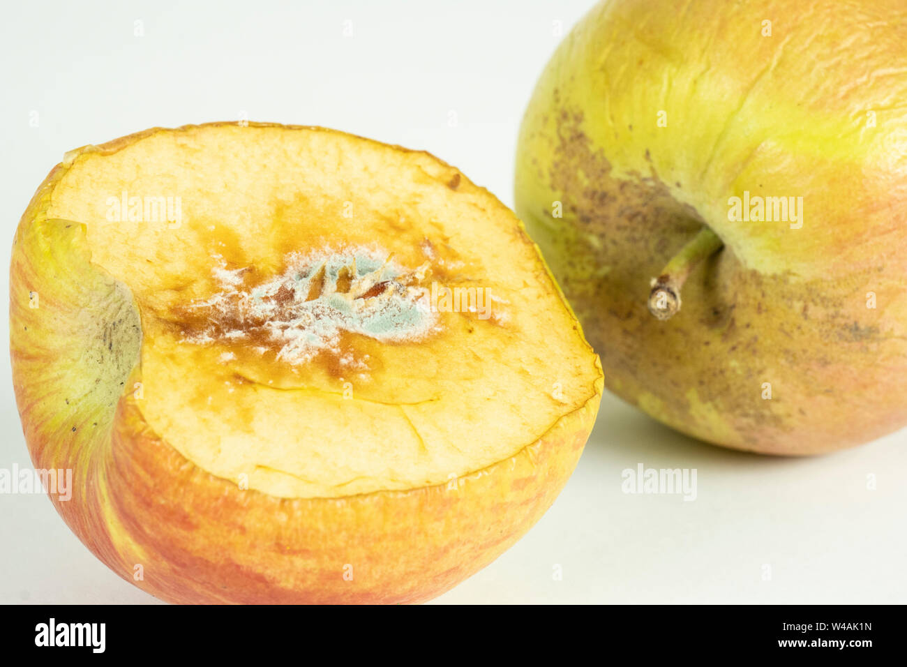 rotten apple on white in top view. Apple biting rotten bruise Stock ...