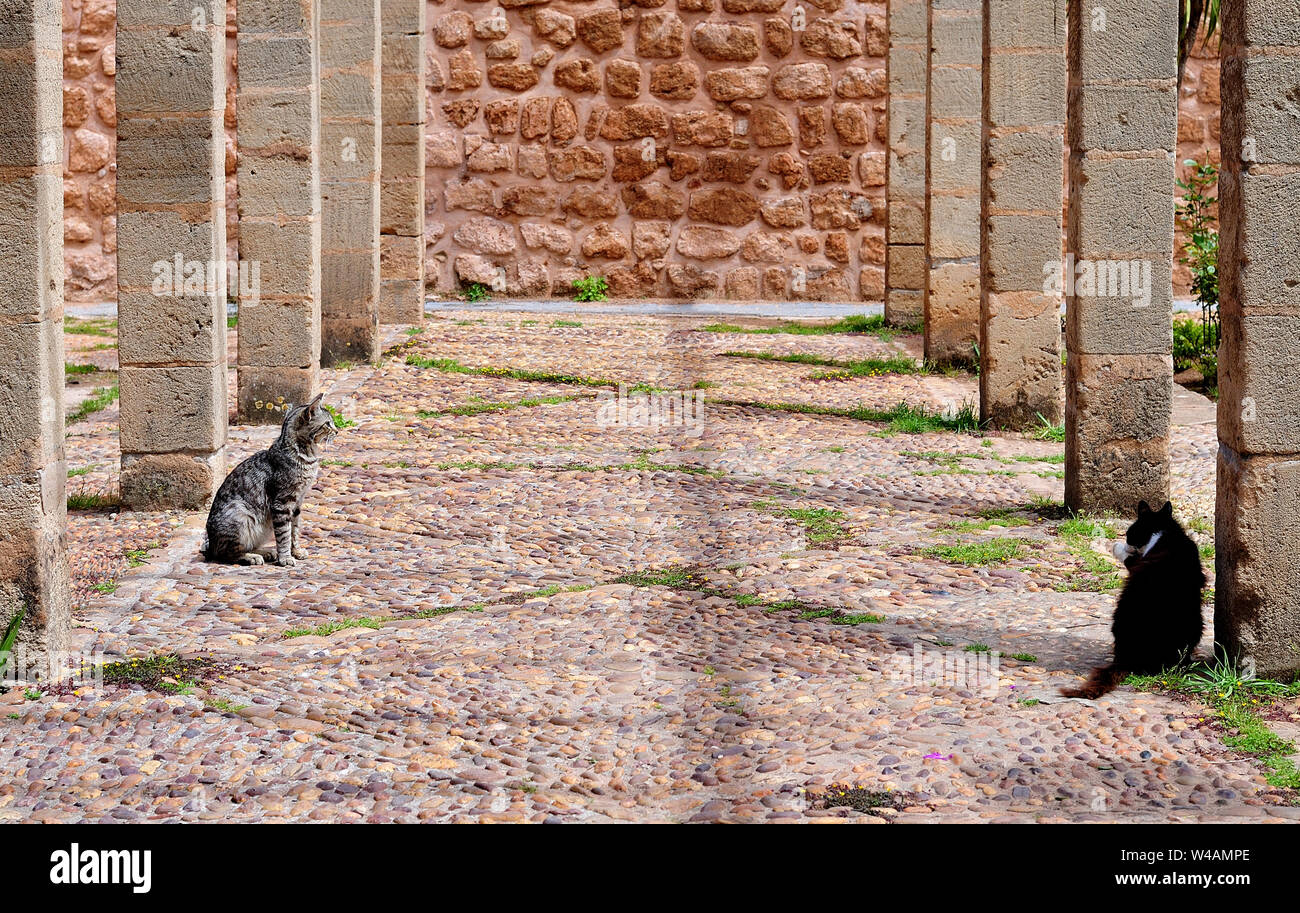 Morocco rabat andalusian garden hi-res stock photography and images - Alamy
